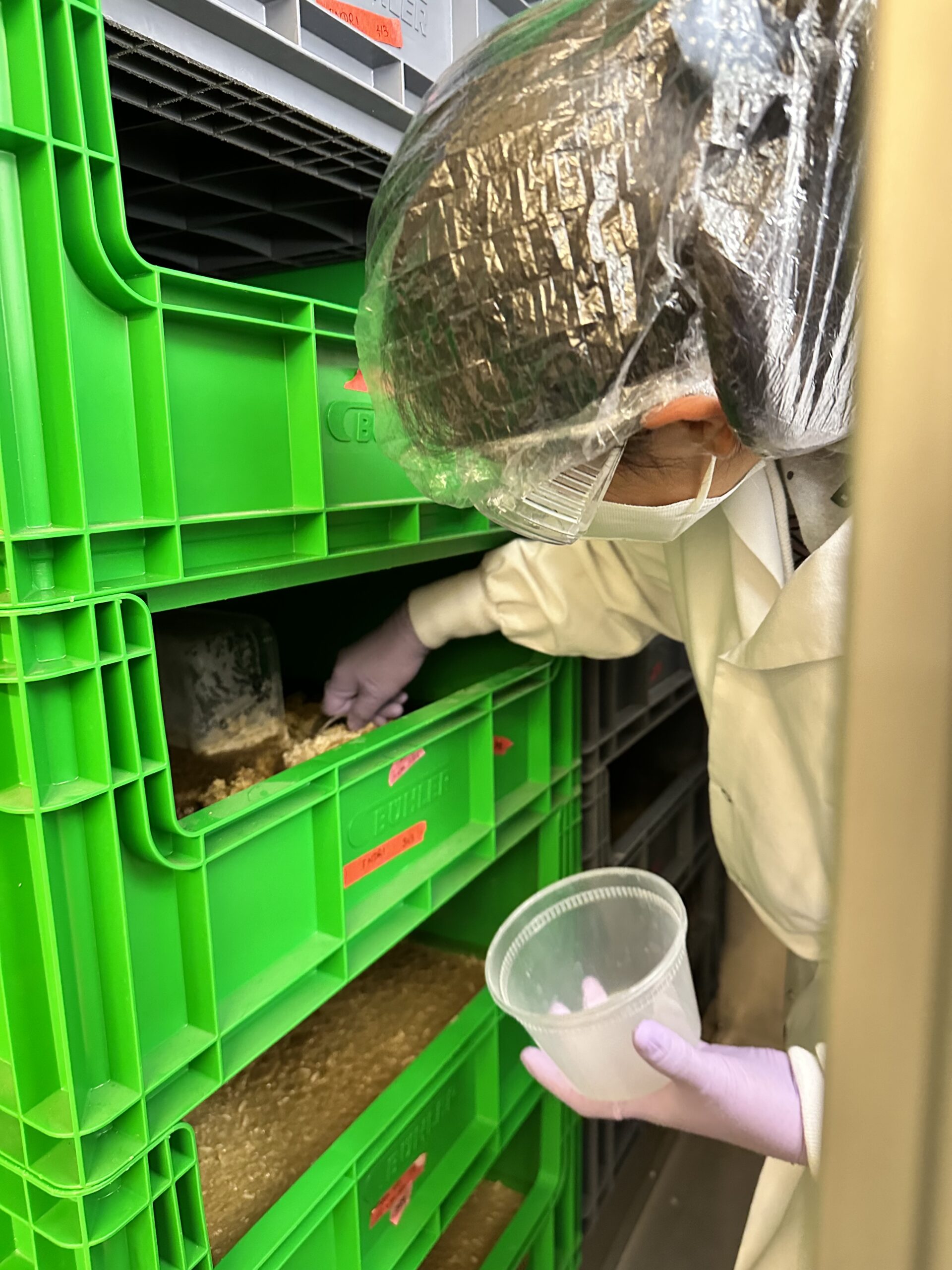 Ag-West Bio | NRGene Canada Launches North American Insect Center