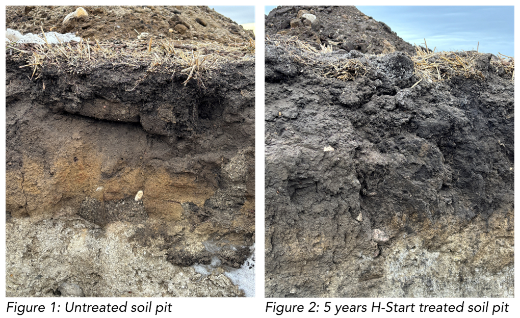 Ag-West Bio » Long-term Commercial Trial Shows Opportunity to Improve Soil